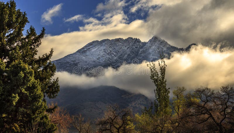 Green Trees Near Mountain Under White Clouds during Noontime Stock ...