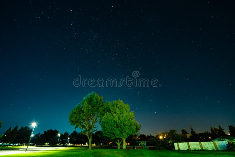 Green Trees in the Night Park and Night Starry Sky Milky Way Stock ...