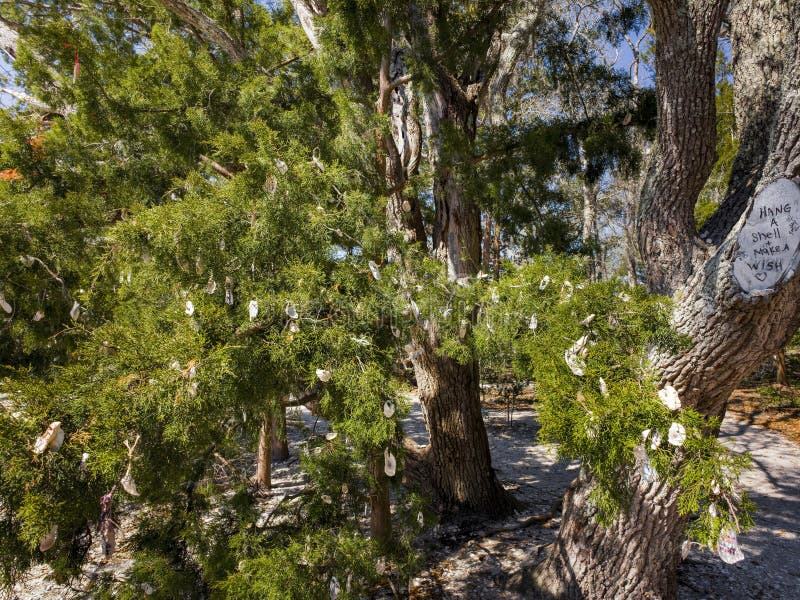 Sea Shells Hang As a Monument To Love and Peace in Vereen Memorial ...