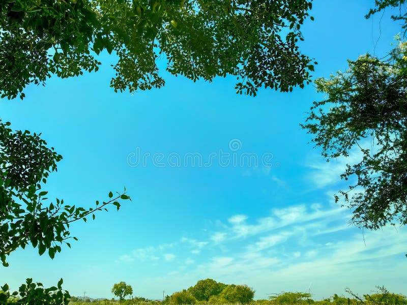 Green Trees and Panoramic Sky Stock Image - Image of beutyful ...