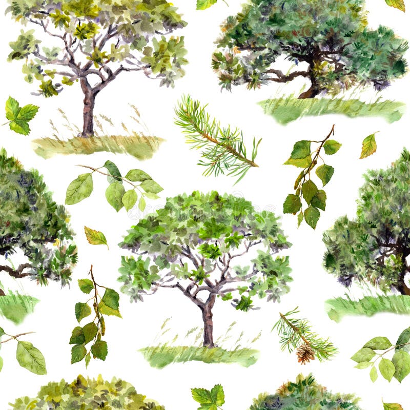 Green Trees. Park, Forest Background. Seamless Pattern with Leaves ...