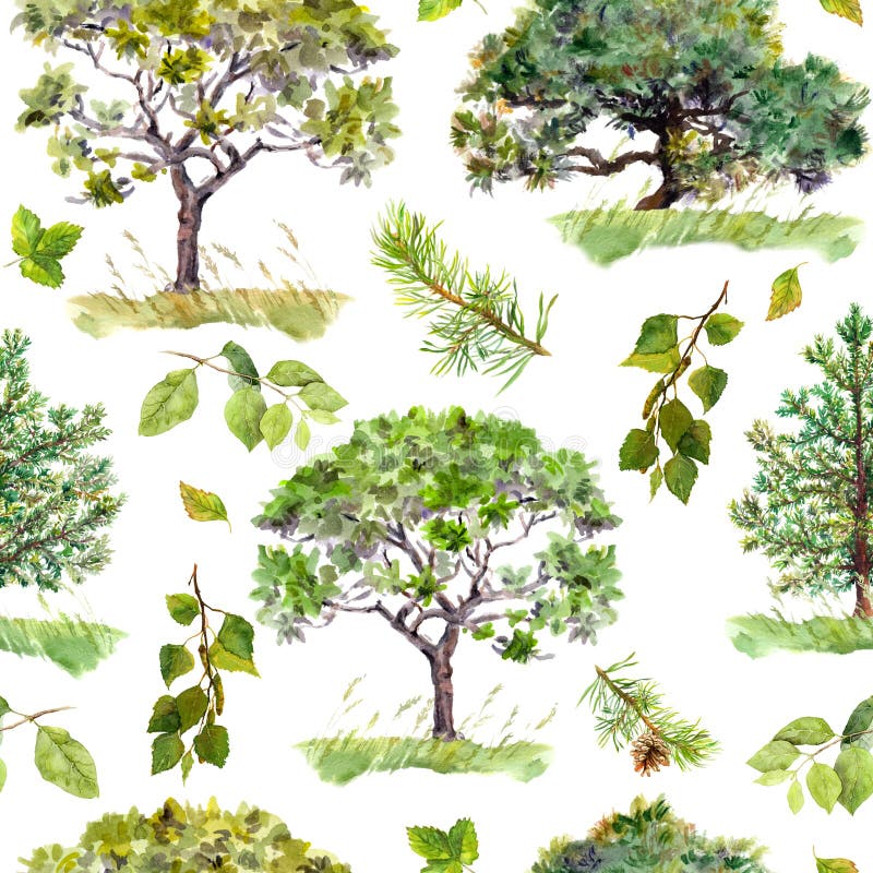 Green Trees. Park, Forest Pattern. Repeating Background with Leaves ...