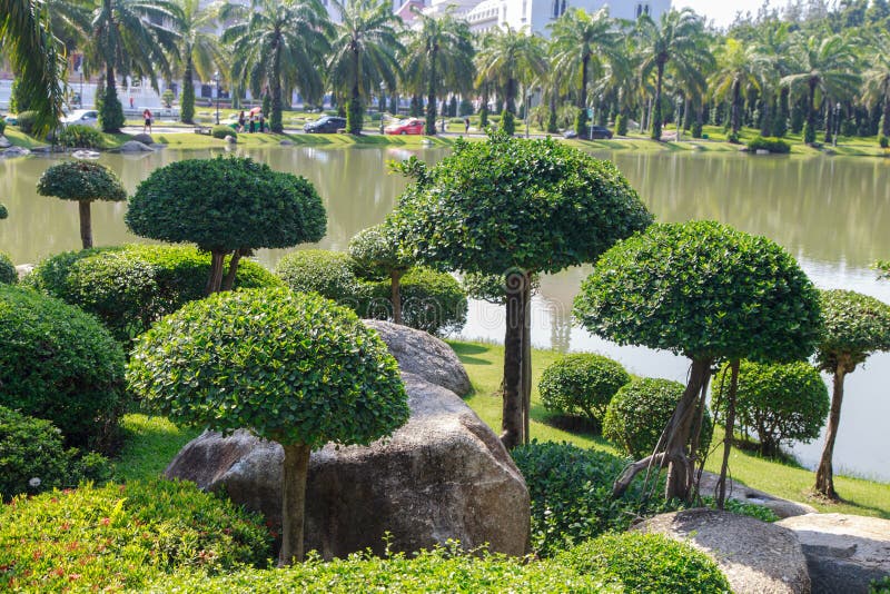 Green trees in park stock photo. Image of gardens, blooming - 60044432