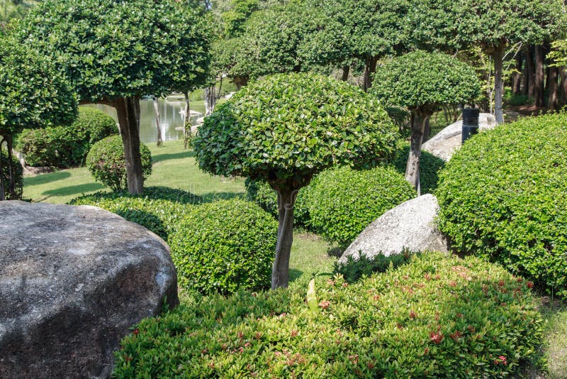 Green trees in park stock photo. Image of gardens, nice - 60045840