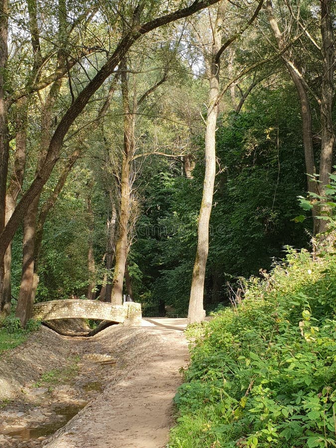 Green Trees and Path, Small Bridge Stock Image - Image of bench, small ...