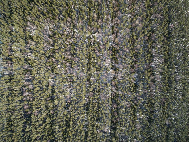 Pattern of Aerial Coastal Residents, the Most Populous Island in the ...