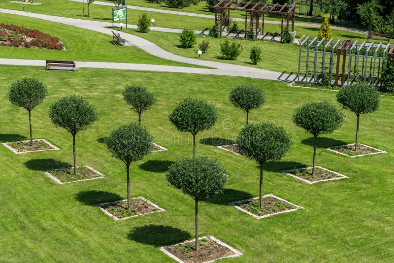 Trees planted in triangle stock image. Image of rows - 112028375