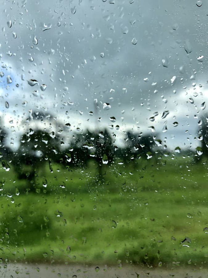 Rain and trees stock photo. Image of glass, trees, nature - 195310888