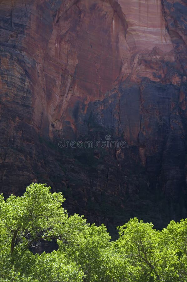 Green trees, red rocks stock photo. Image of environmentalism - 7184400