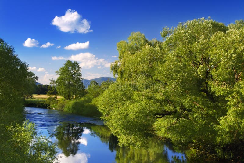 Spring Summer Landscape Blue Sky Clouds River Boat Green Trees Stock ...