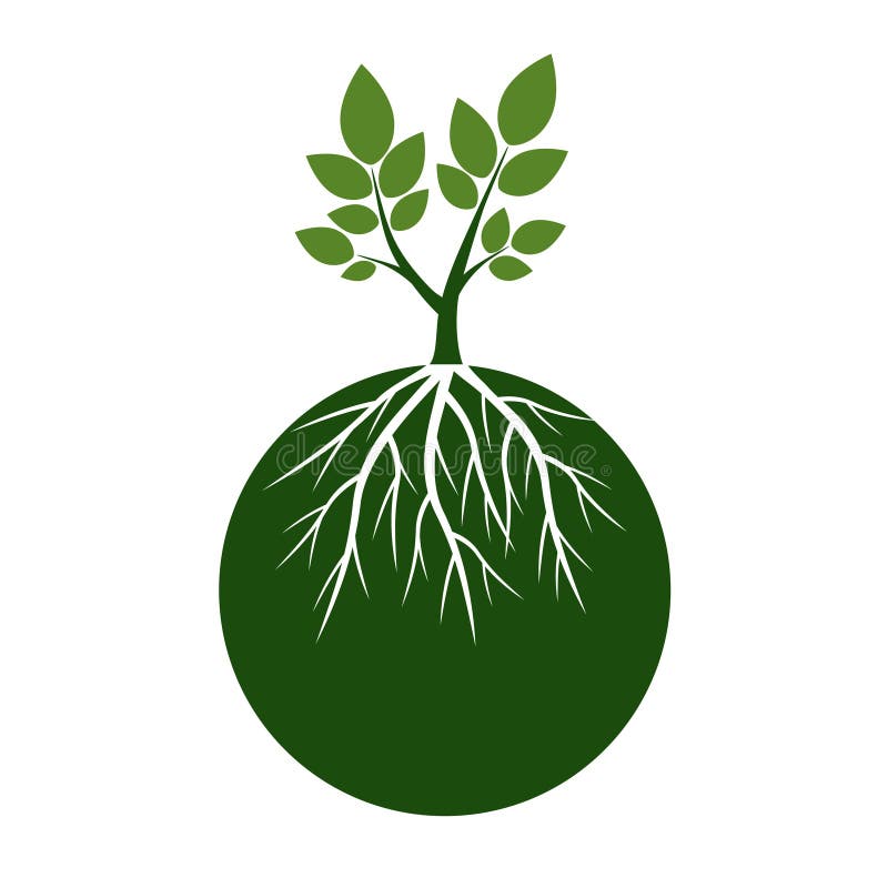 Green Trees with Roots. stock illustration. Illustration of silhouette ...