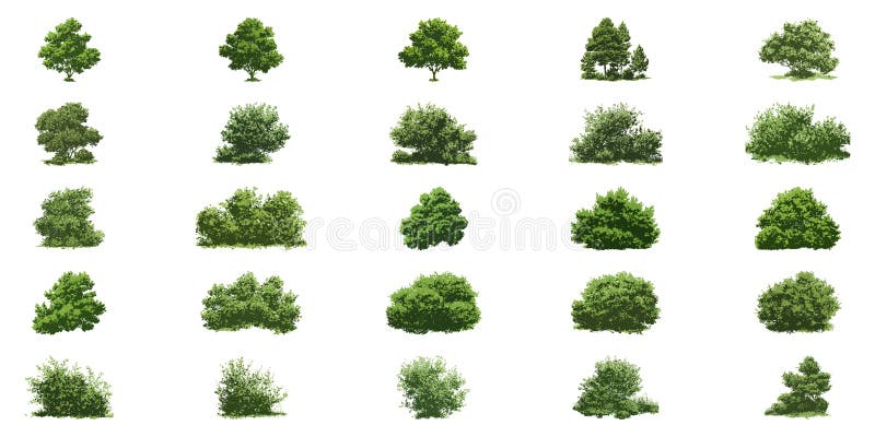 Green Trees and Shrubs Digital Vector Set. Landscape Architecture and ...