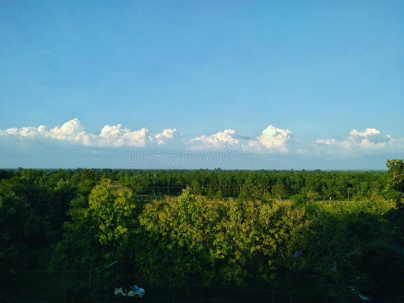 Green Trees, Sky in the Daytime Stock Photo - Image of daytime ...