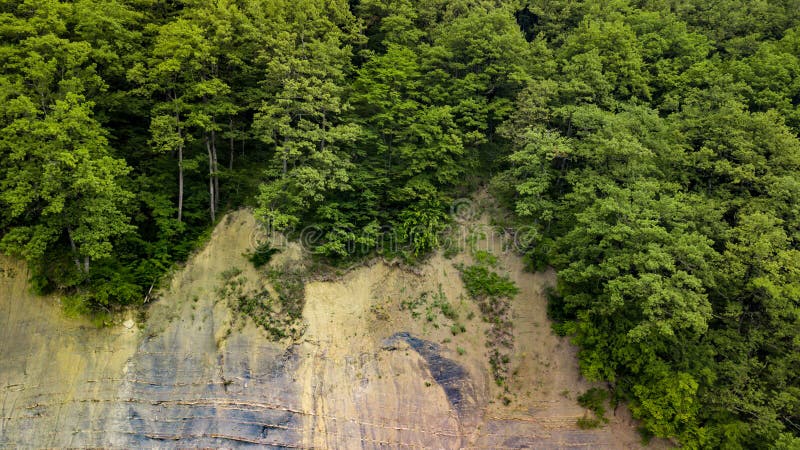 Background Texture of Rocky Terrain with Trees Stock Photo - Image of ...