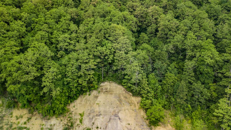 Background Texture of Rocky Terrain with Trees Stock Image - Image of ...
