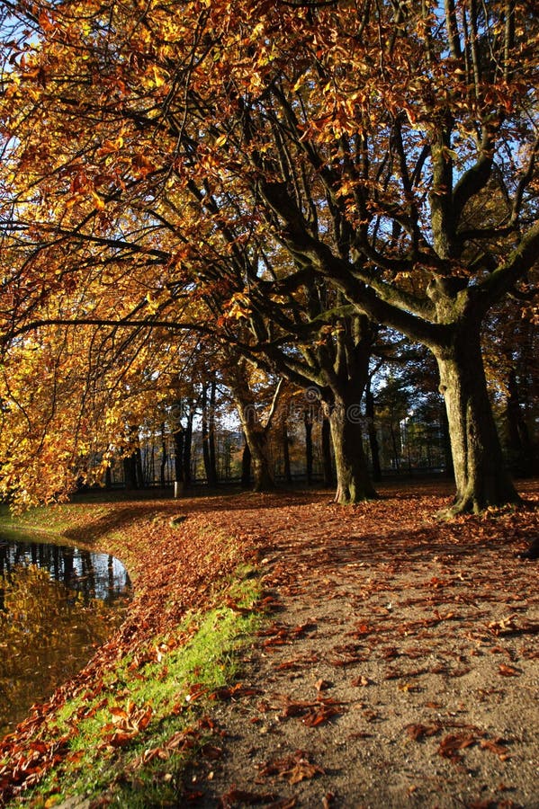 Green Trees at Swiss Location Stock Photo - Image of tour, riverside ...