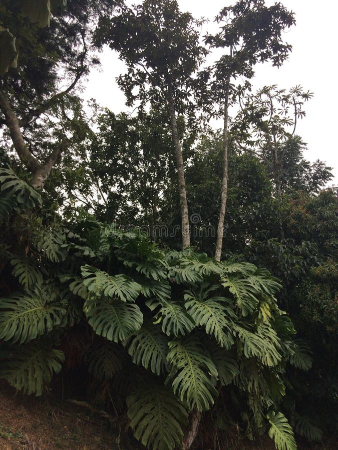 Background of Opaque Glass Rough Texture Stock Photo - Image of rough ...