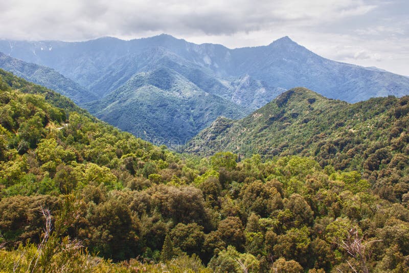 Green trees valley stock image. Image of outdoors, park - 23312633