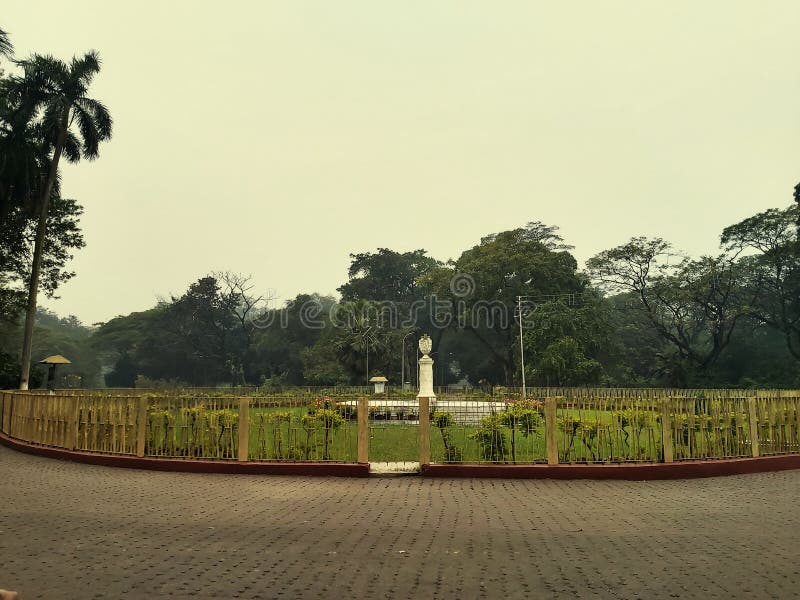 Green Trees in Village Side in India Botanical Garden Stock Photo ...