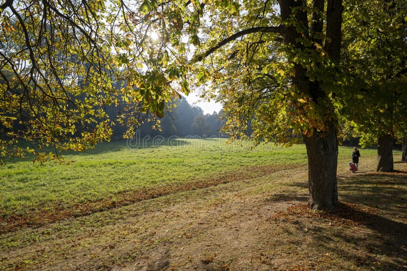 The Trees on the Left Side are Green with Yellow Leaves Stock Image ...