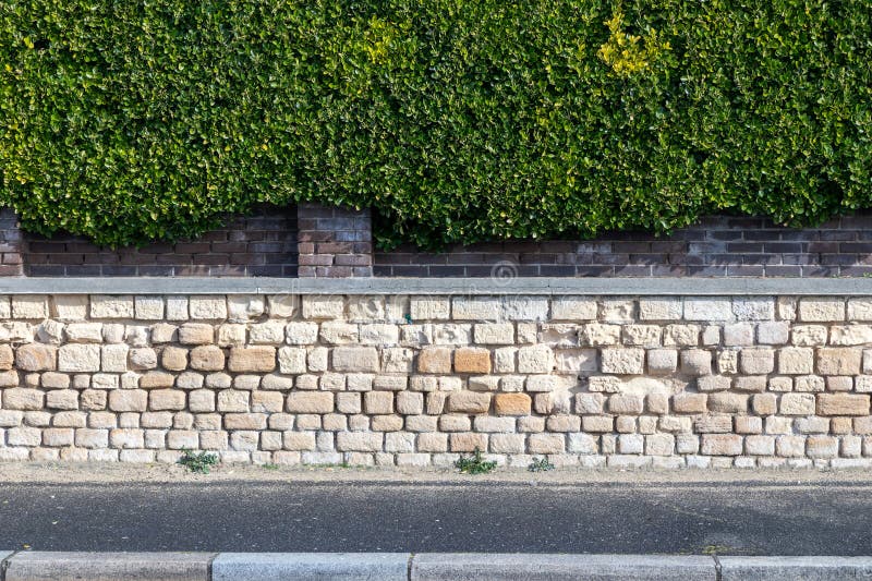Green Trimmed Bush Hedge with Stone Basement and Empty Sidewalk in the ...