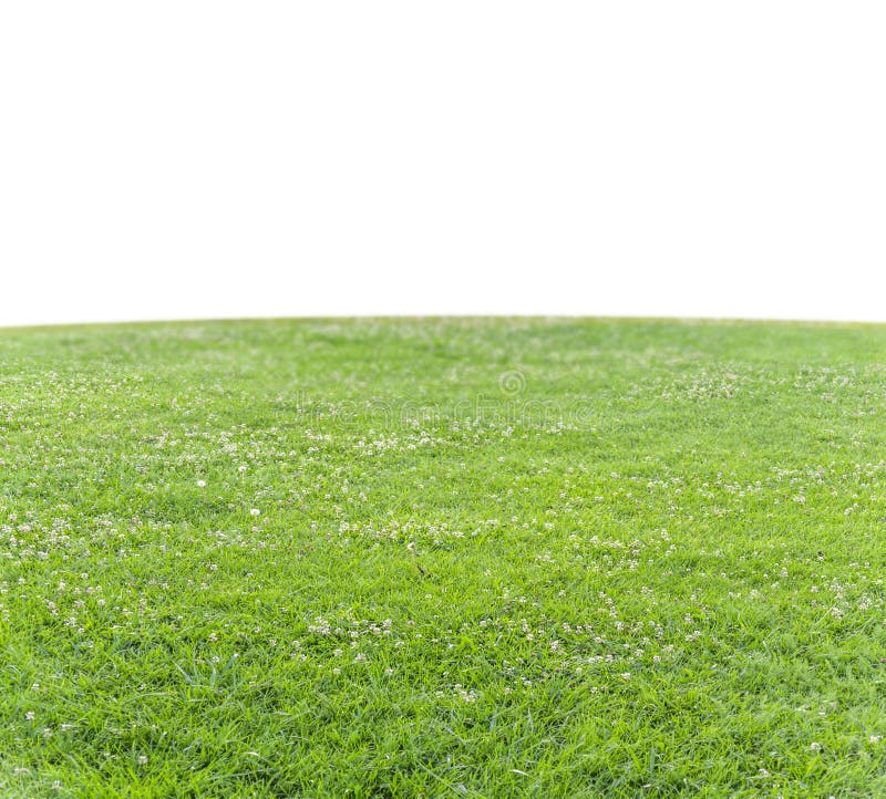 Green Trimmed Grass Field with Copy Space Stock Image - Image of grass ...