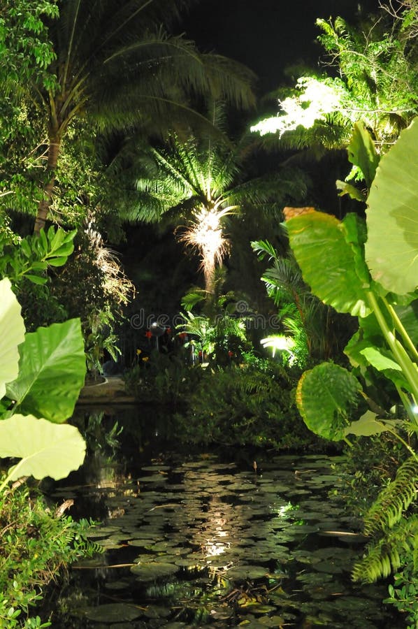 Green tropic view stock photo. Image of lamp, palm, water - 40084694