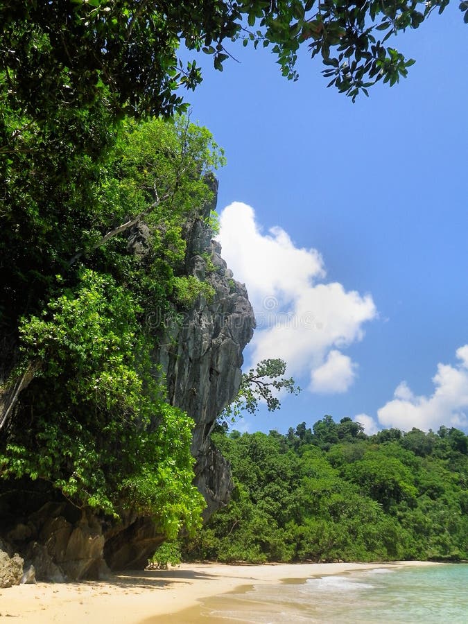 Green Tropical Jungle Over the Blue Sea. Stock Image - Image of single ...