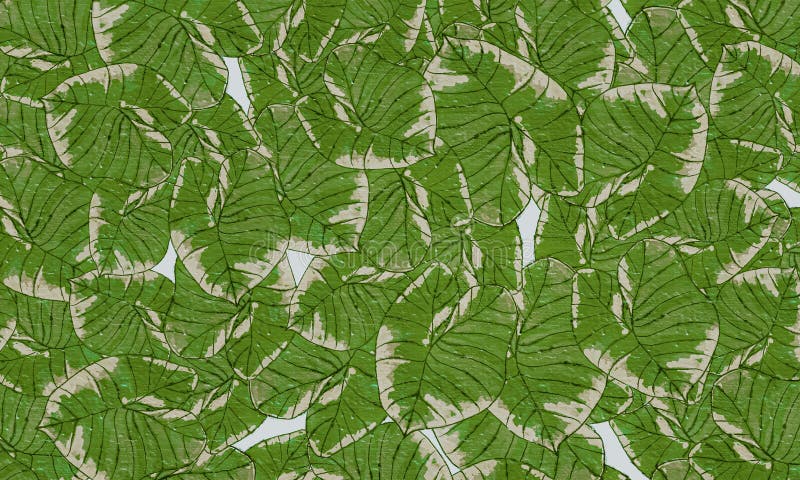 Green Tropical Leaves Spring Nature Wallpaper Background Stock ...