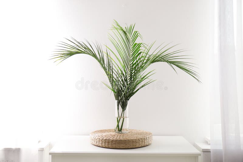 Green Tropical Leaves in Vase. Modern Decor for Stylish Interior Stock ...