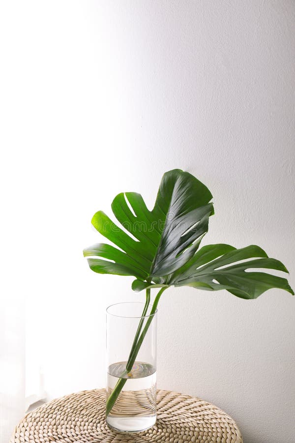 Green Tropical Leaves in Vase on Table. Modern Decor for Interior Stock ...