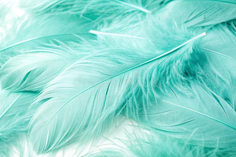 Green Turquoise Feather Texture, Vintage Color Trend Background Stock ...