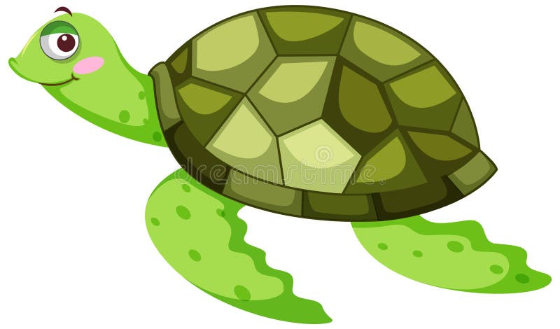 Green Turtle in Cartoon Character Stock Vector - Illustration of green ...