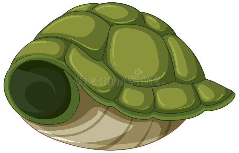 A Turtle Shell with Detailed Texture Stock Vector - Illustration of ...
