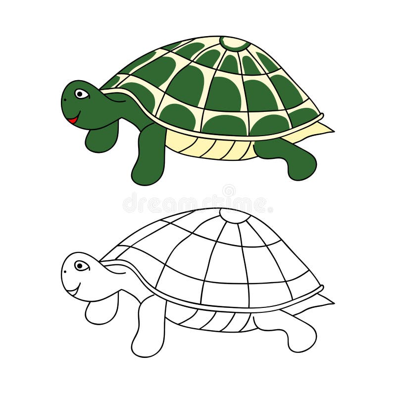 Green Turtle Vector Illustration. Isolated on White Background. Stock ...