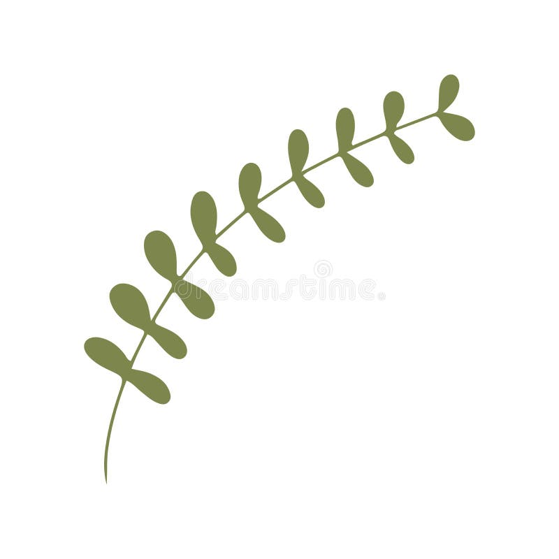 Green Twig in Style of Doodles on White Stock Vector - Illustration of ...
