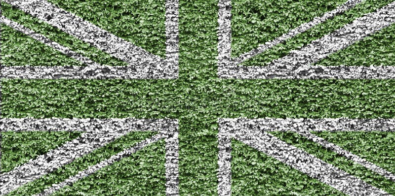 Green Union Jack Flag Drawn on the Foliage Wall Stock Photo - Image of ...