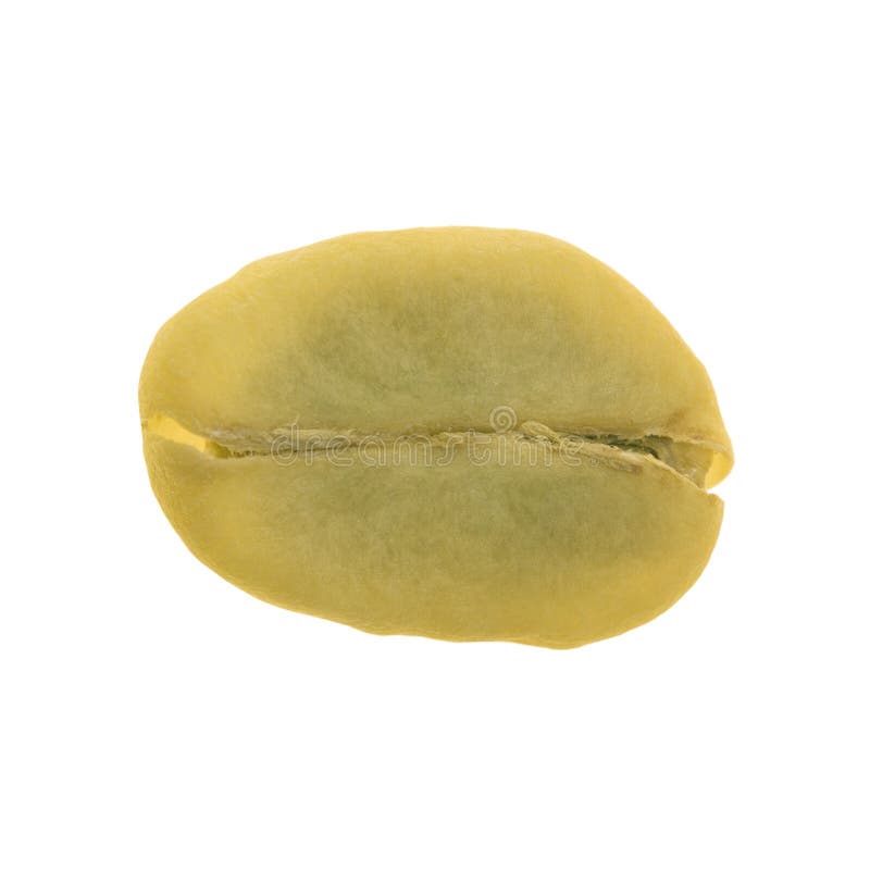 Green Unroasted Coffee Bean Stock Photo - Image of green, taste: 109523540