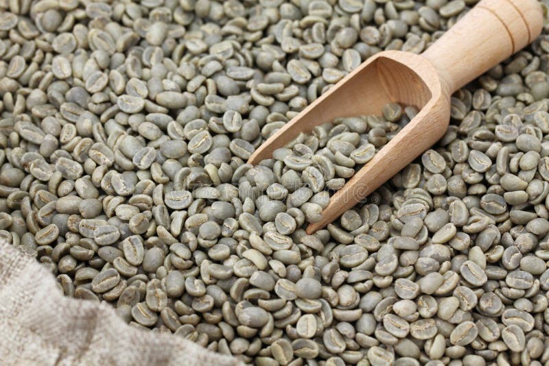 Unroasted coffee beans stock image. Image of fresh, unroasted - 7220909