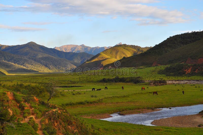 Green Valley stock image. Image of green, indonesia, valley - 919991