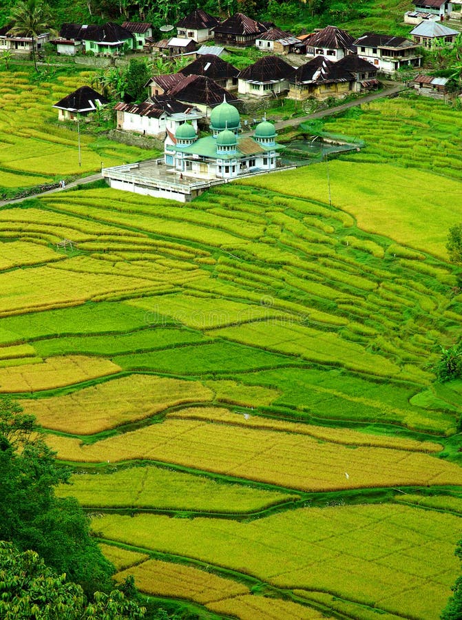 Green Valley stock image. Image of green, indonesia, valley - 919991