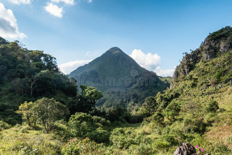 Green Valley in Rainforest with Mountain and Blue Sky Stock Photo ...