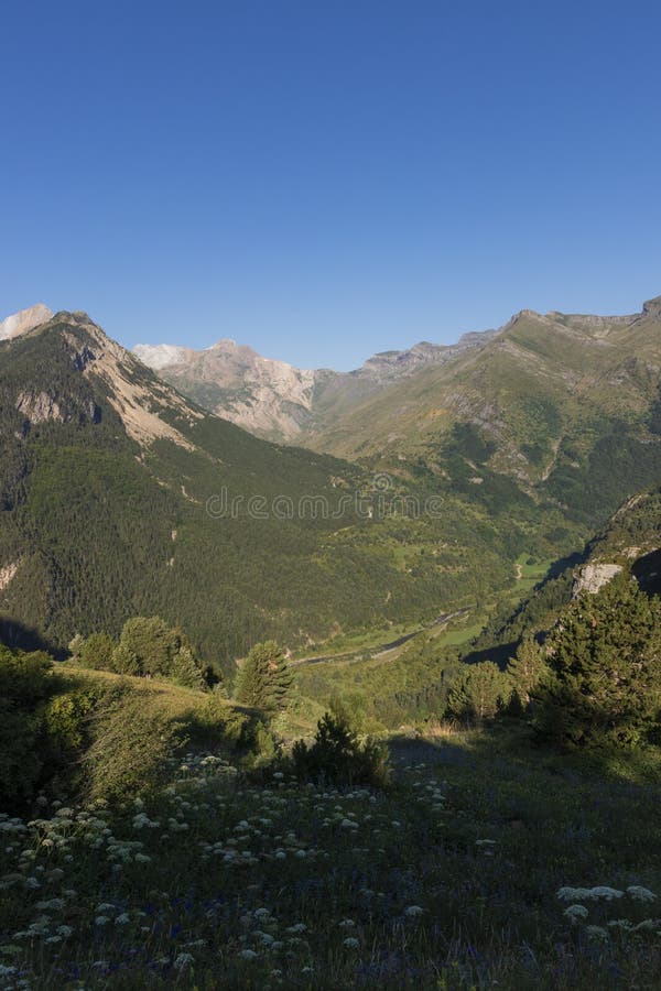 Valley in the Spanish Pyrenees Stock Photo - Image of peaceful, green ...