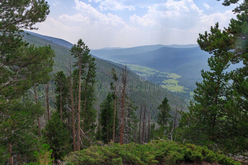 Green Valley Surrounded by Alpine Forests in the Rocky Mountains Stock ...
