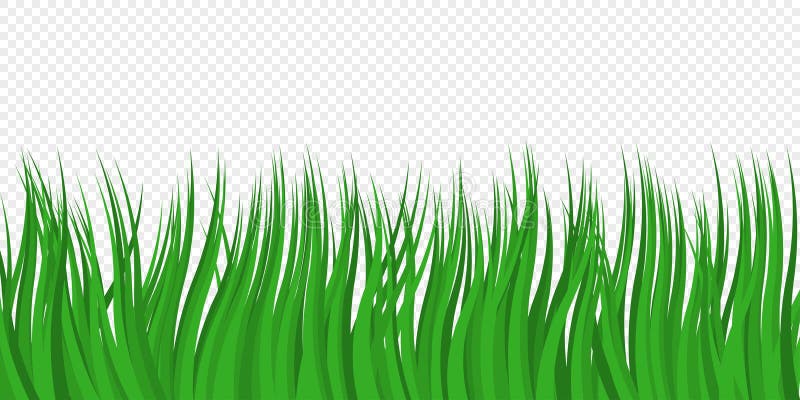 Green Vector Grass on Transparent Background Stock Illustration ...