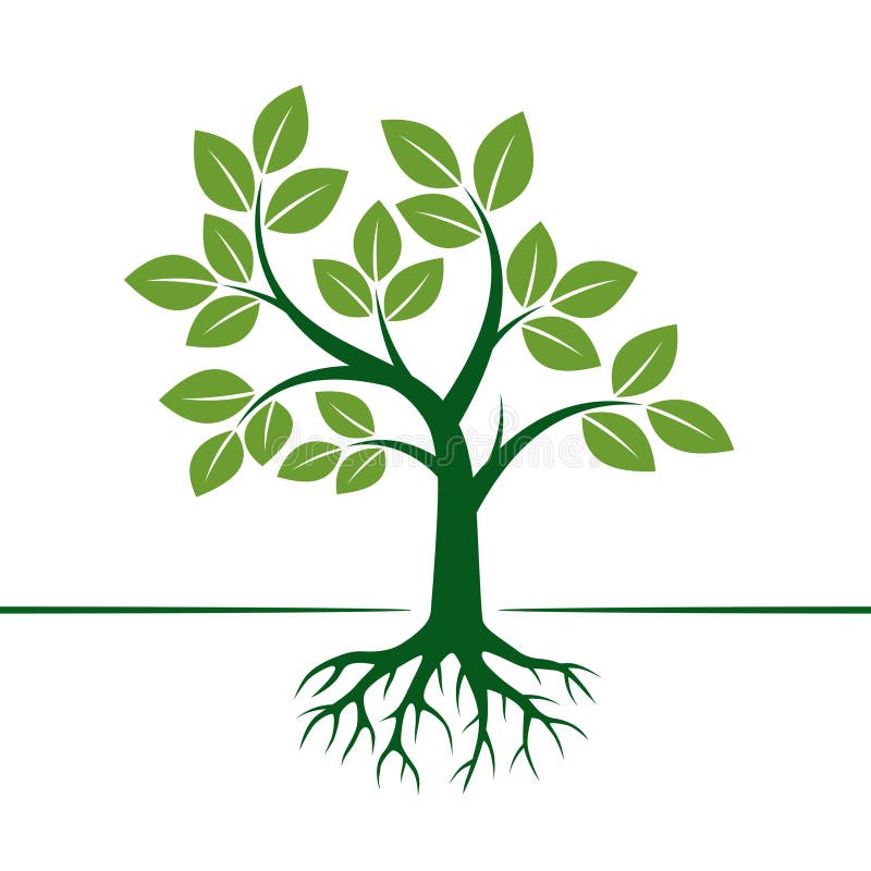 Green Vector Tree and Roots. Vector Illustration. Stock Vector ... Green Vector Tree and Roots. Vector Illustration. Stock Vector ...