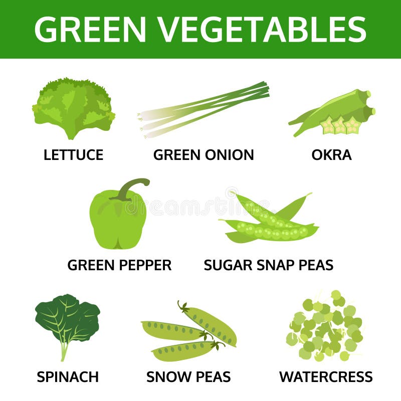 Green Vegetable Collection, Info Graphic Food Vector Stock Vector ...