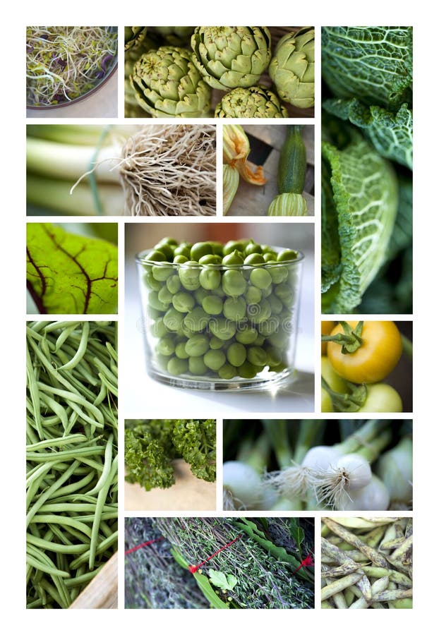 Green vegetable and herbs stock image. Image of ingredients - 61127997