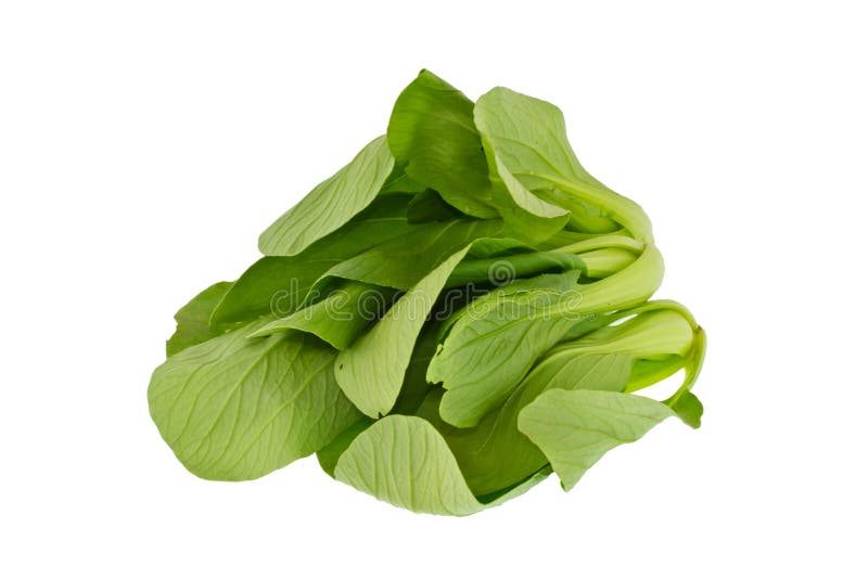 Green Vegetable Isolated on White Background Stock Image - Image of ...