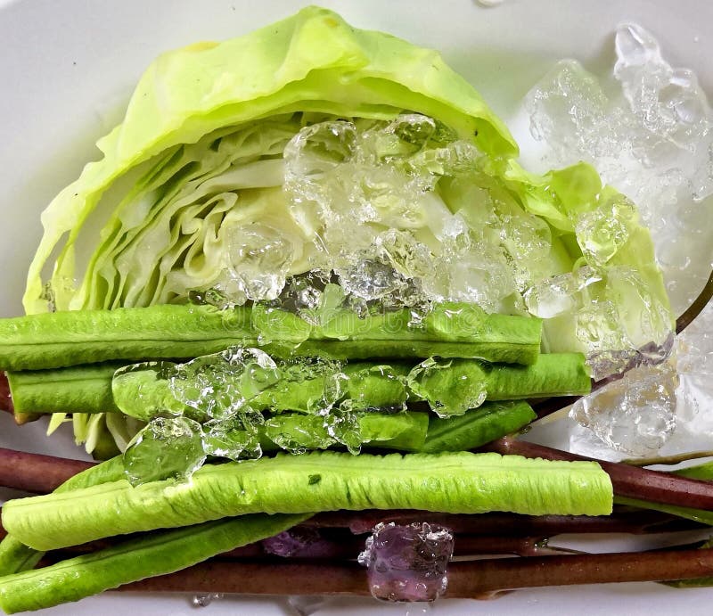 Vegetable in ice stock image. Image of chill, corn, cold - 4303523